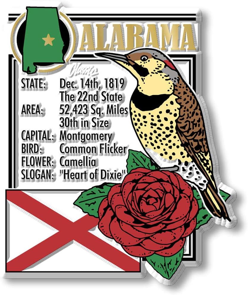 Amazon.com: Flagline Alabama - Acrylic State Map Refrigerator Magnet ...
