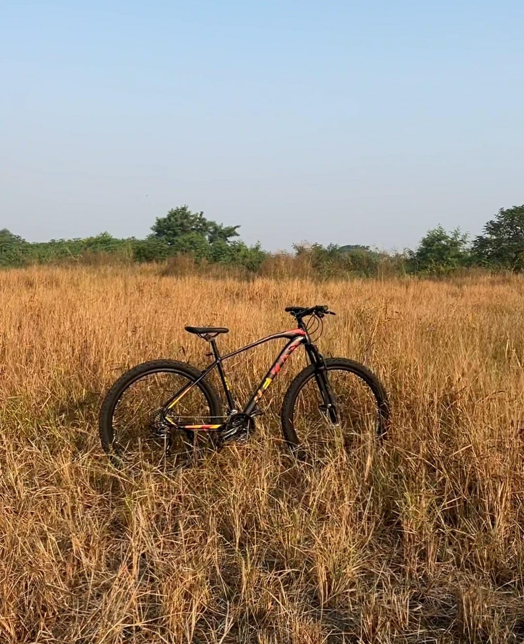 Buy Revin Vault 29T | Aluminium Alloy MTB 29T Mountain Bike with 27 ...