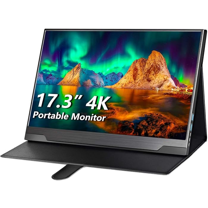 Buy Portable Monitor 4K - 17.3 Inch UHD FreeSync HDR IPS 100% Adobe RGB ...