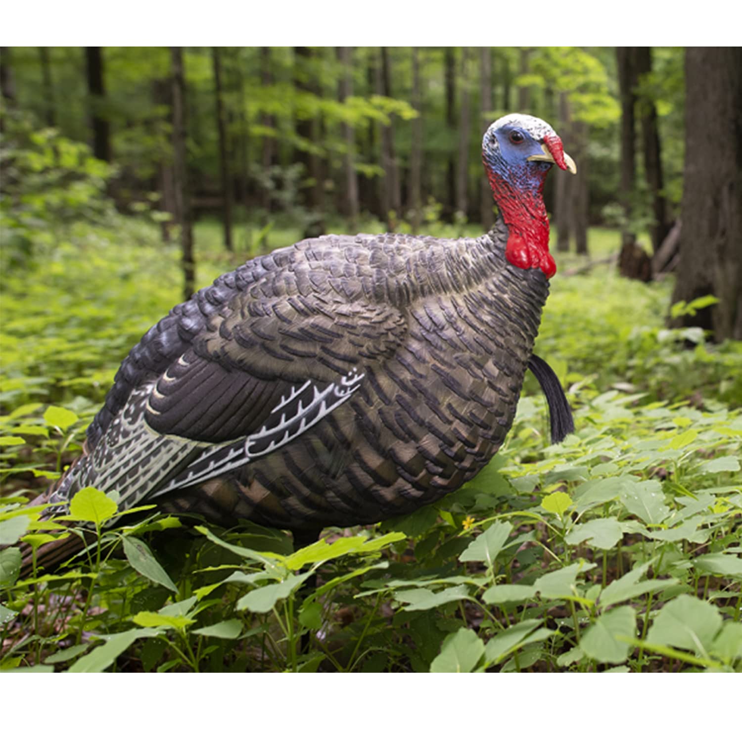 Snapklik.com : AVIAN-X LCD Jake Quarter Strut Durable Realistic ...