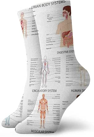 Amazon.com: GULTMEE Funny Compression Socks Women and Men,Complete ...