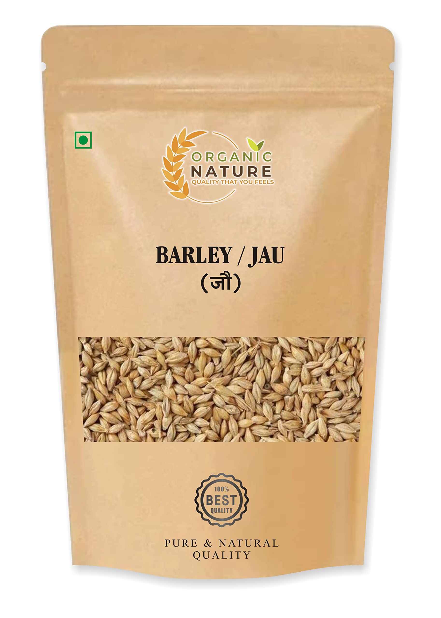 Barley Seeds