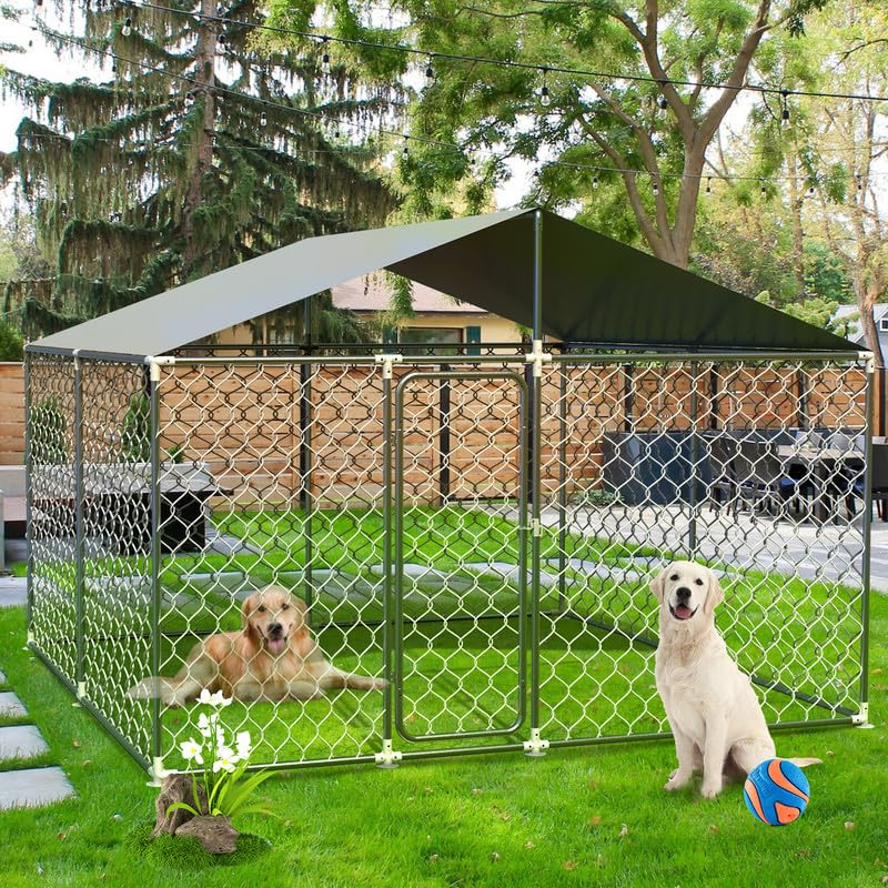 10x10 Anti-Rust Outdoor Dog Kennel Compound - Heavy Duty Enclosure with ...