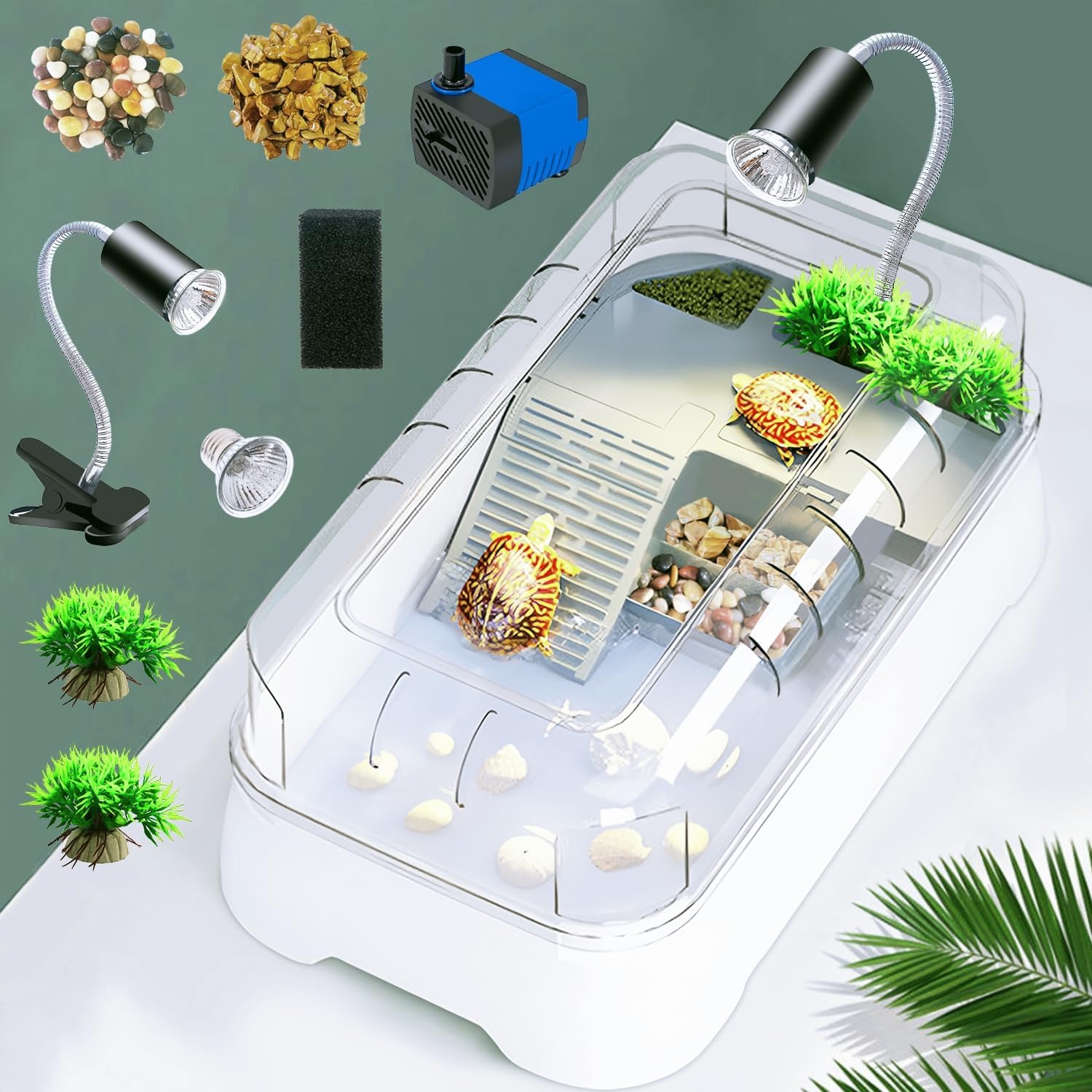 Amazon.com : -New 2024-Turtle Aquarium Kit,Turtle Tank Starter Kit with ...