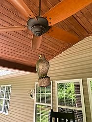 Amazon.com: Bird B Gone Plastic Hawk Decoy to Scare Birds Away, Bird ...