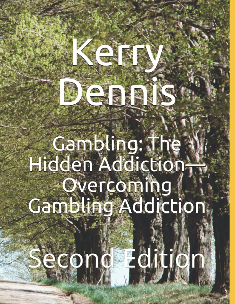 Gambling: The Hidden Addiction—Overcoming Gambling Addiction: Second ...