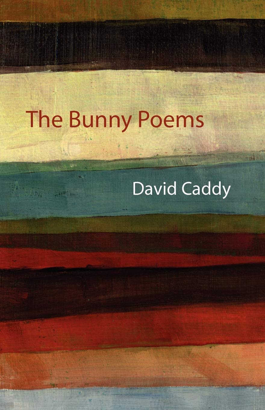 The Bunny Poems: Caddy, David: 9781848611955: Amazon.com: Books