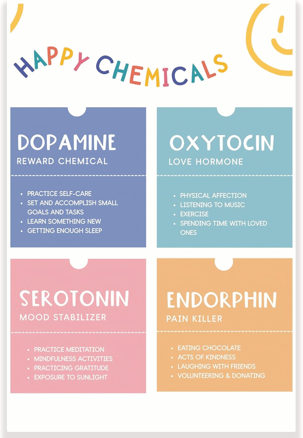 Amazon.com: Happy Chemicals Classroom Poster - Neurochemistry Brain ...