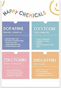 Amazon.com: Happy Chemicals Classroom Poster - Neurochemistry Brain ...