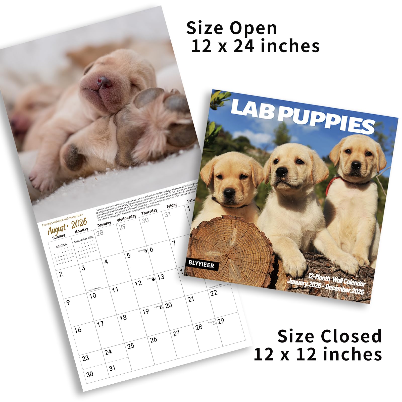 Snapklik.com : Lab Puppies 2026 Wall Calendar 12" X 24" Open Hangable ...