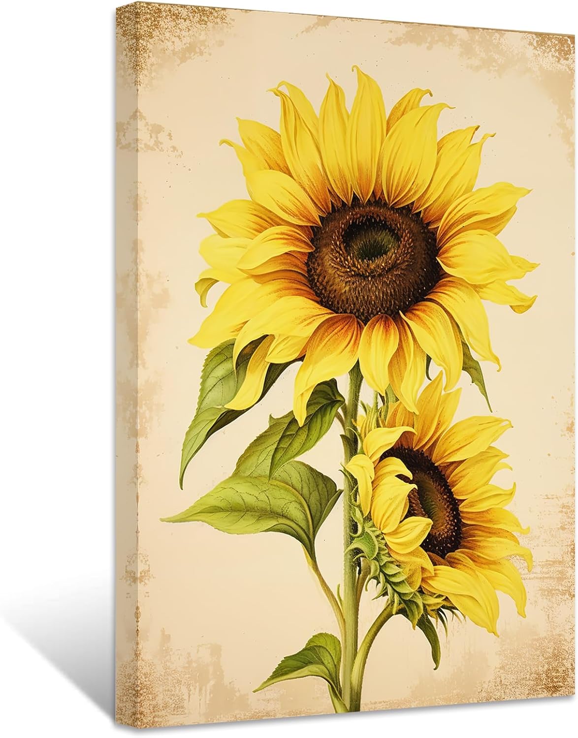 Amazon.com: ZXHYWYM Sunflower Canvas Wall Art Vintage Sunflower ...
