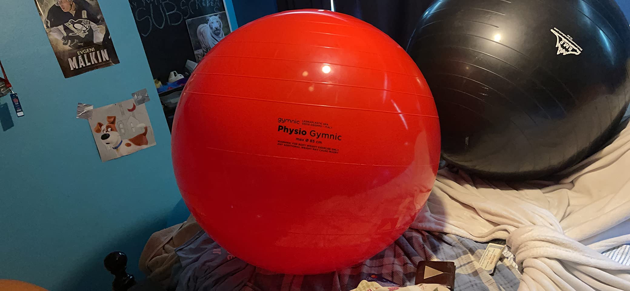 Amazon.com: GYMNIC Physio Exercise Ball : Sports & Outdoors