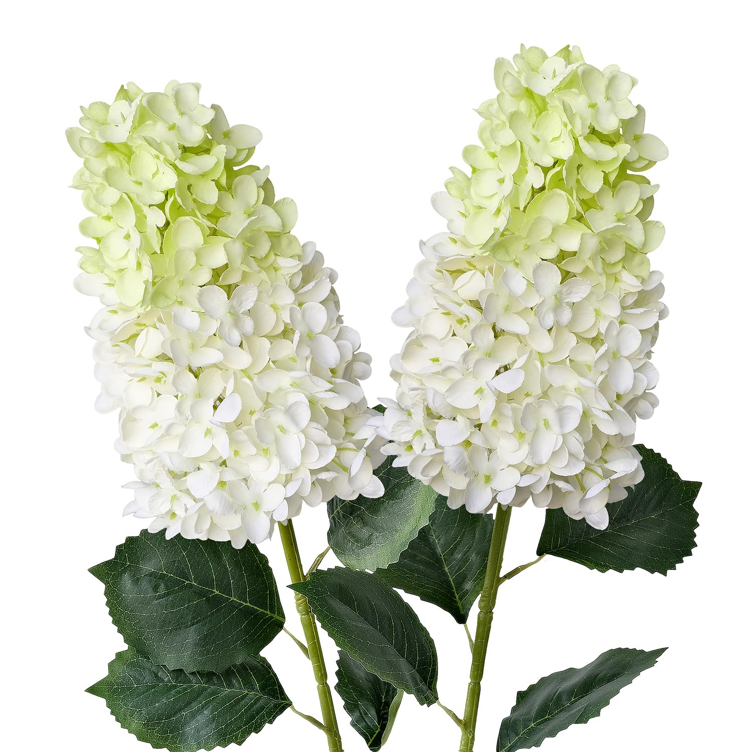 Amazon.com: JINWOE White/Light Green Silk Hydrangea Artificial Flowers ...