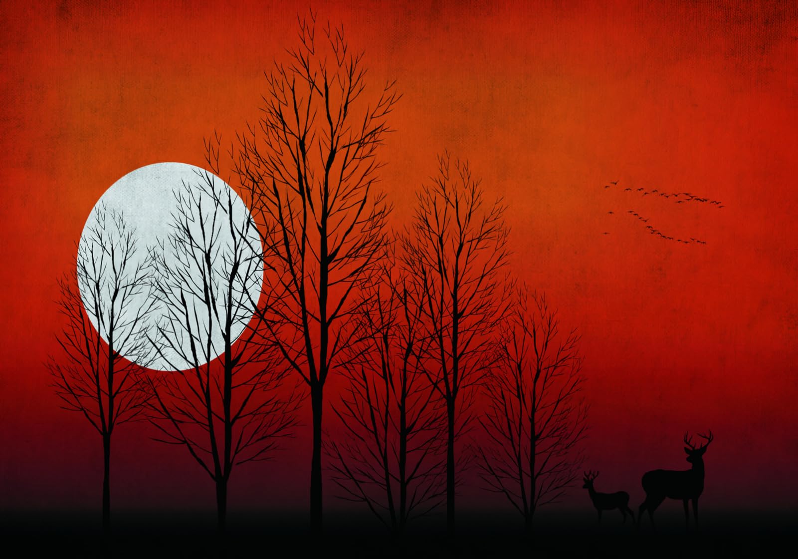 Beautiful Red Scenery