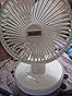 AGARO Alpha Desktop Fan with Light, 4 Inches, 4 Speeds, Oscillating ...