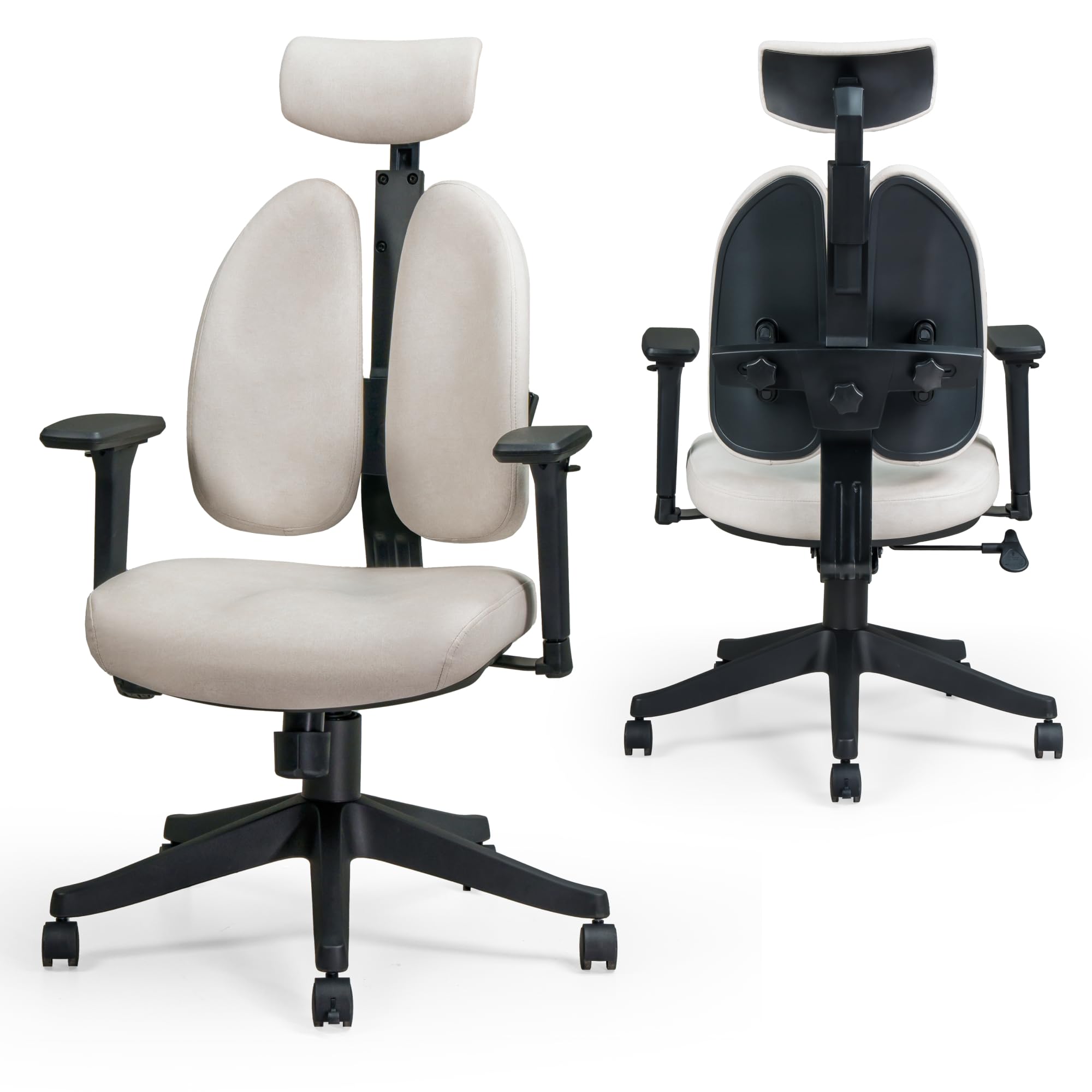 Amazon.com: FLEXISPOT Ergonomic Office Chair with Dual Back Support ...