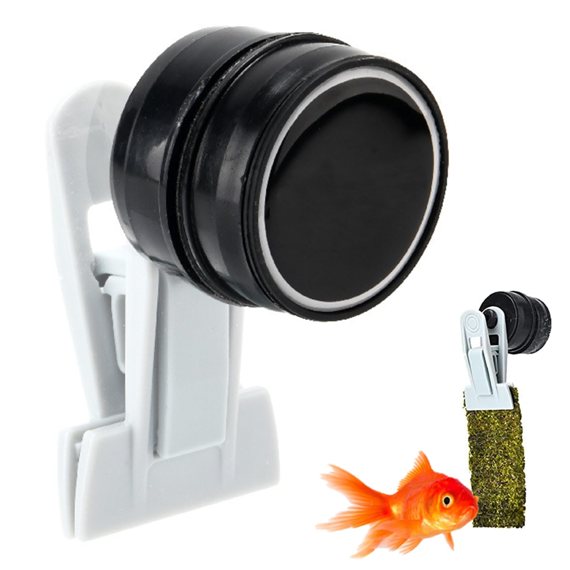 Amazon.com : Seaweed Clip Strong Magnetic Seaweed Fish Feeder Clip ...