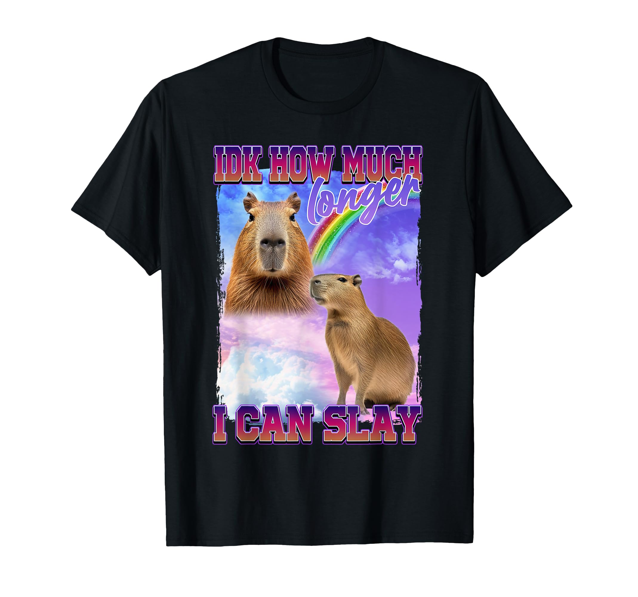 Amazon.com: Idk How Much Longer I Can Slay Capybara T-Shirt : Clothing ...