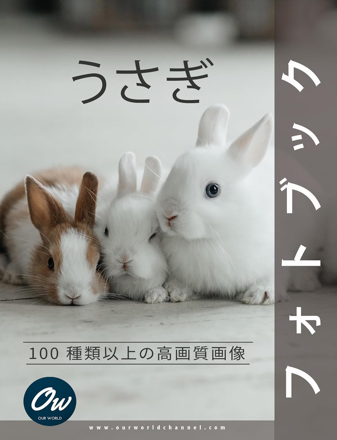 Rabbit: Photo Book フォトブック (Japanese Edition) eBook : Our World, A Arelt ...