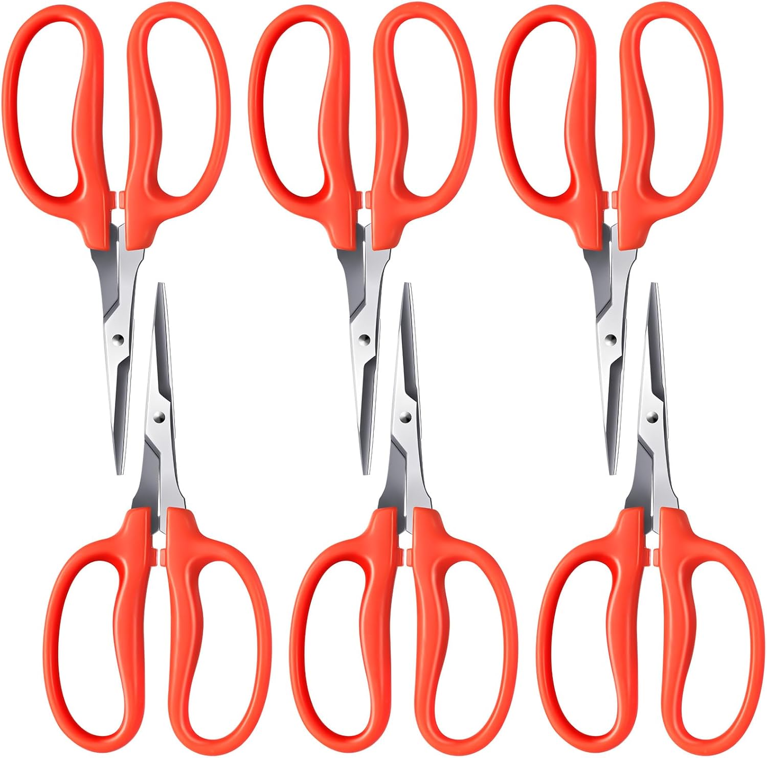 Amazon.com : Lasnten 6 Pcs 6.1" Trimming Scissors for Grapes Stainless ...