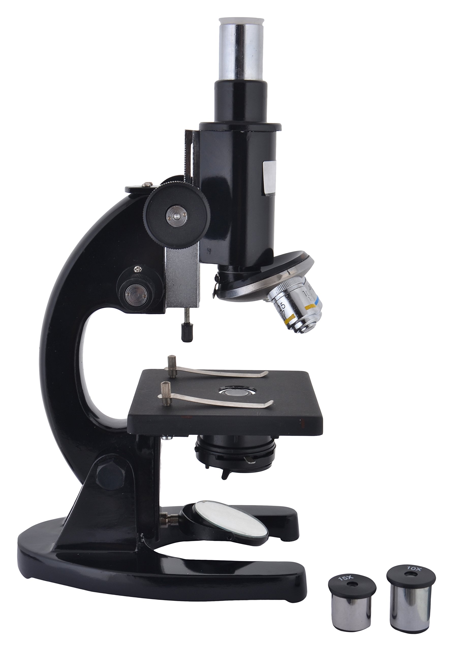 Compound Microscope Images