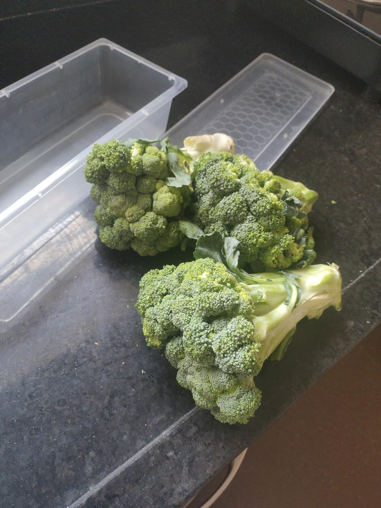 Fresh Broccoli, 1Pc, (Approx 250g - 500g) : Amazon.in: Grocery ...