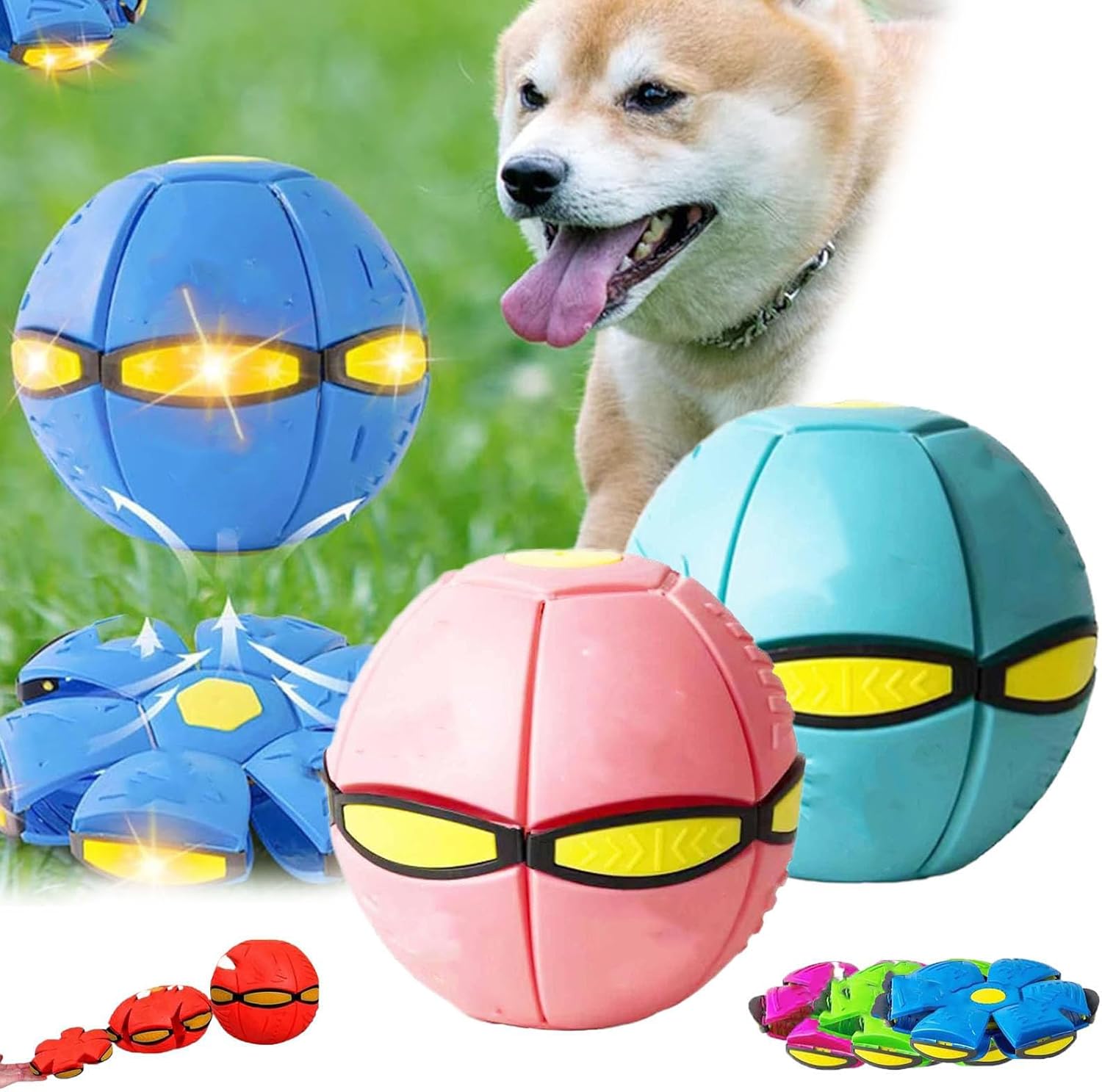 Amazon.com : Ancienflow Doggy Disc Ball | Ancienflow Dog Toy | Ancient ...
