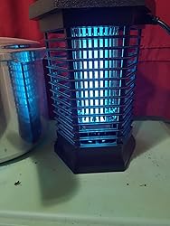 Amazon.com: Dichroma Bug Zapper Light Bulb Replacement for 15W Bug ...