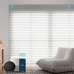 Amazon.com: ZSTARR Motorized Shangri-La Shades Light Filtering Window Roller Shades Compatible ...