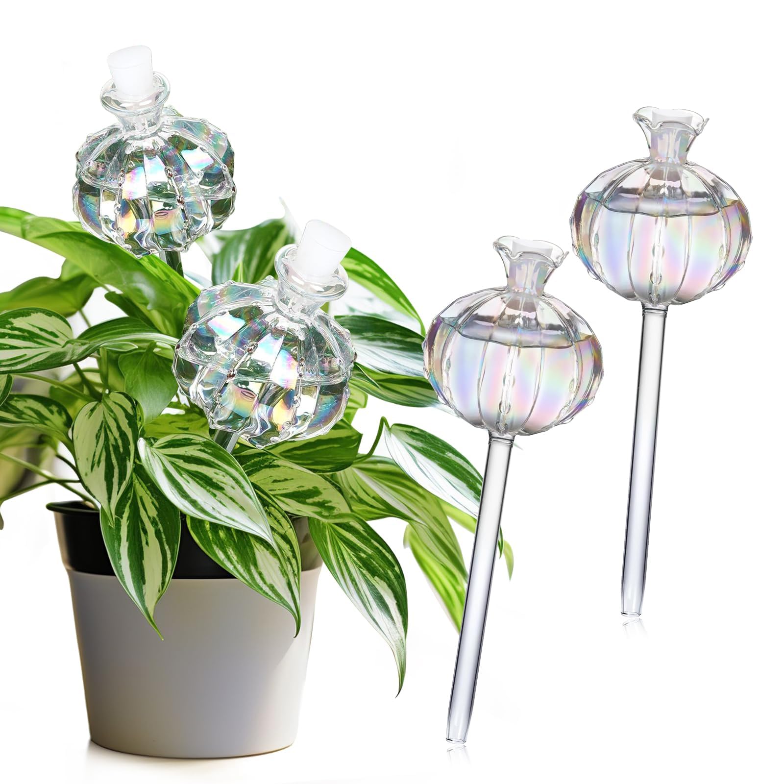 Amazon.com: Aunus Plant Watering Globes, 4Pcs Large Glass Self Watering ...