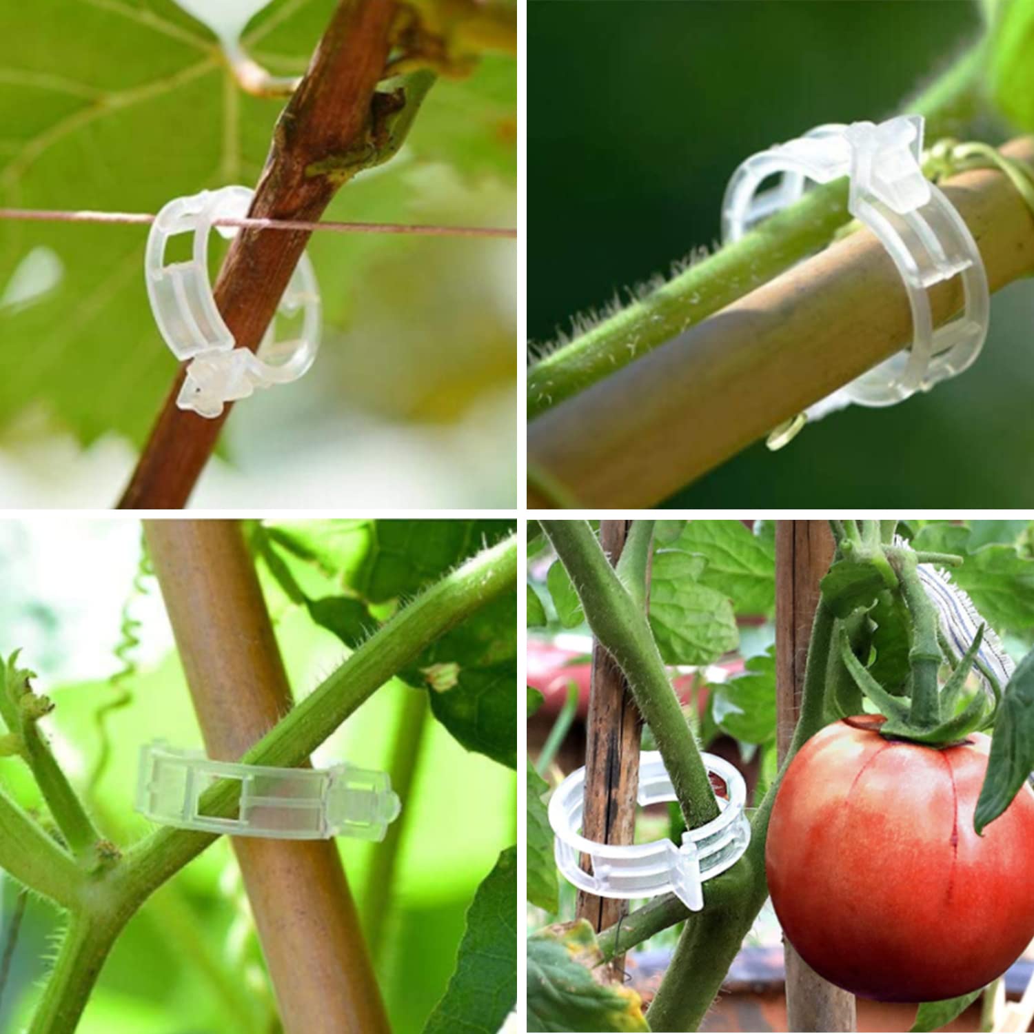 Snapklik.com : Tomato Clips, Plastic Trellis Clips, 100 Pcs Plant ...