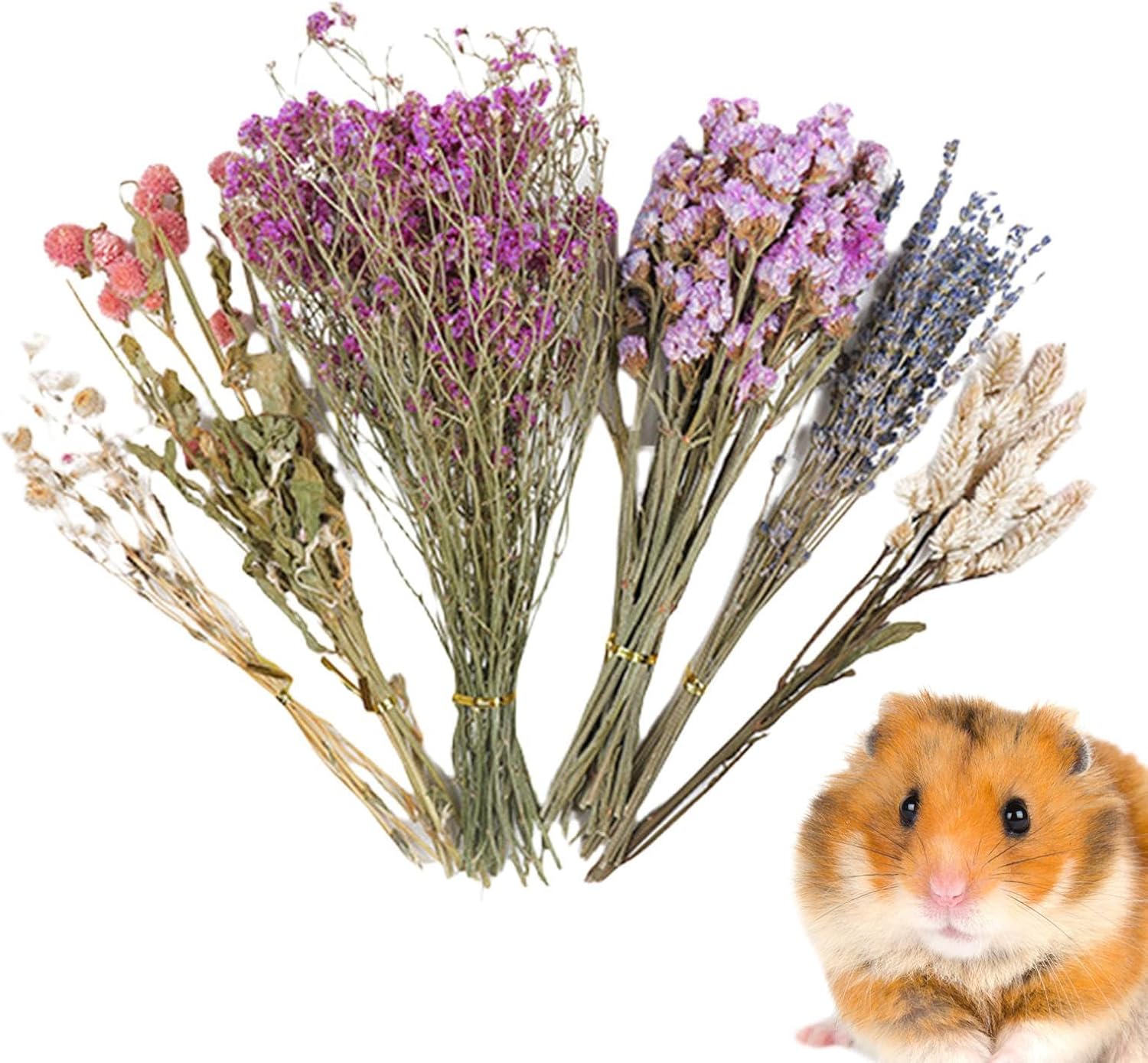 Hamster Flower Sprays, Hamster Hay Flower Bedding, Hamsters Dried ...