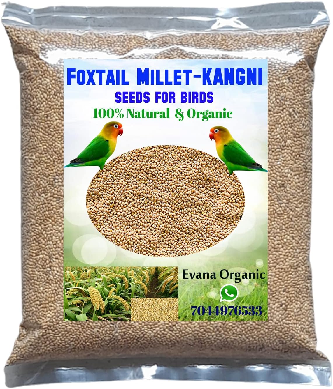 Buy Parrots Wizard, Kangni Seed for Bird Food Small Size 950 Gram ...