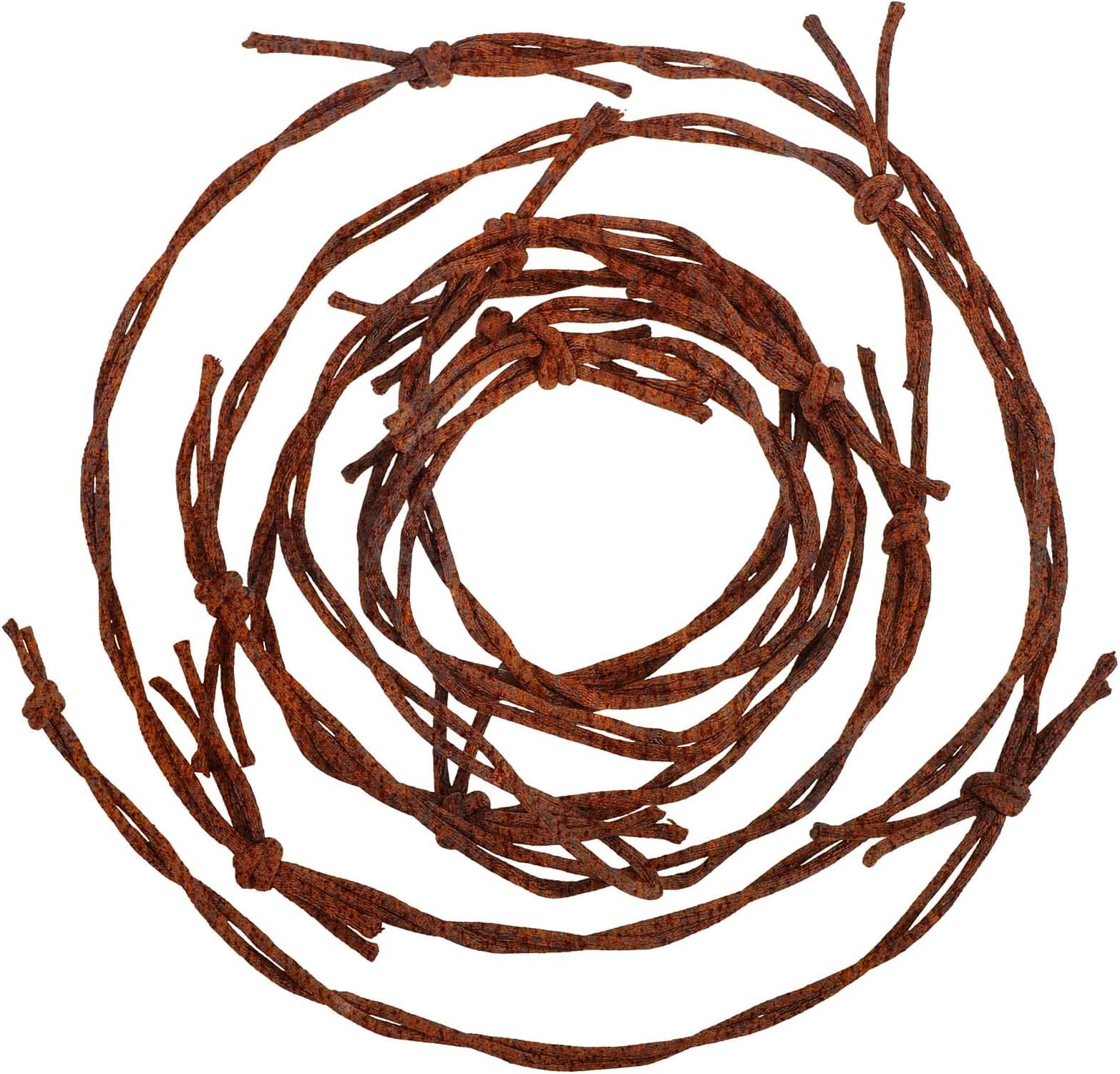 Amazon.com: Skeleteen Barb Wire Garland Decorations - Rusty Barbed Wire ...