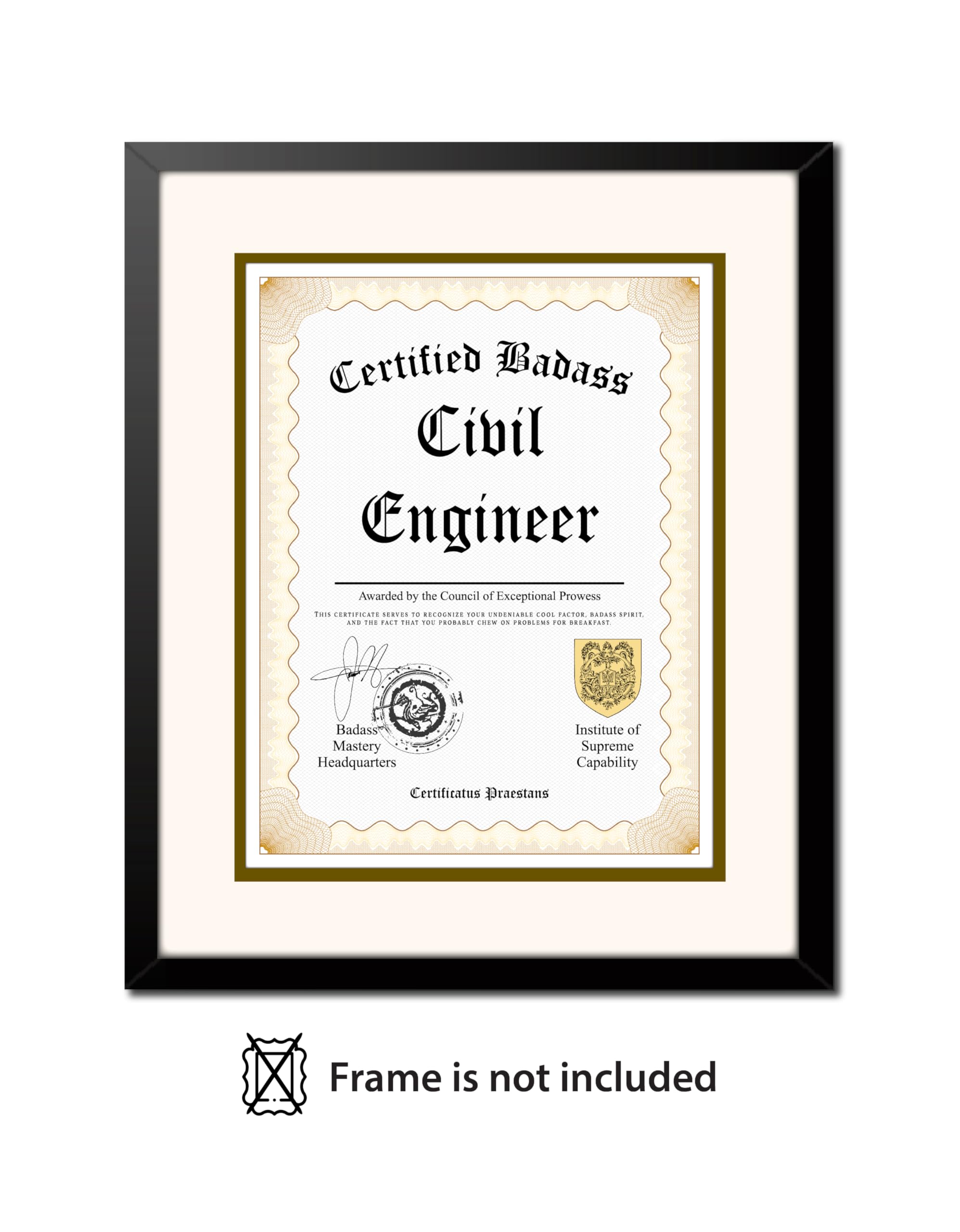 Diploma Original De Ingeniero Civil Auditoría Externa | Flickr