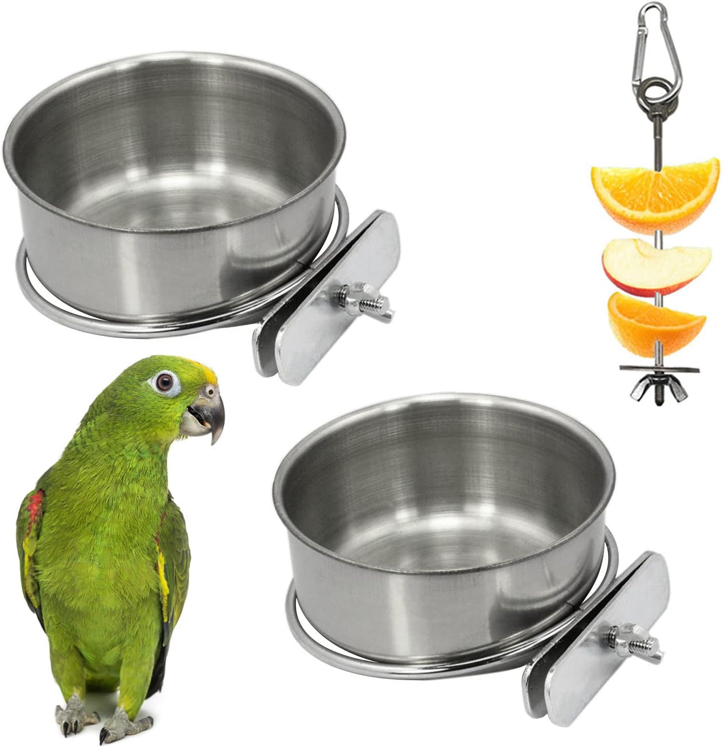 Amazon.com : Hamiledyi Parrot Feeding Cup,Bird Food Dish Stainless ...