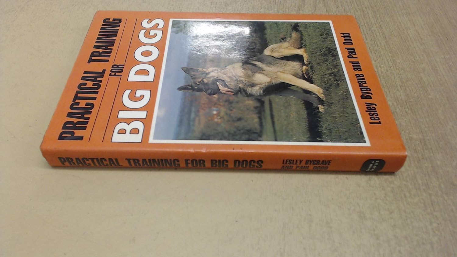 Practical Training for Big Dogs: Bygrave-Malin, Lesley, Dodd, Paul ...