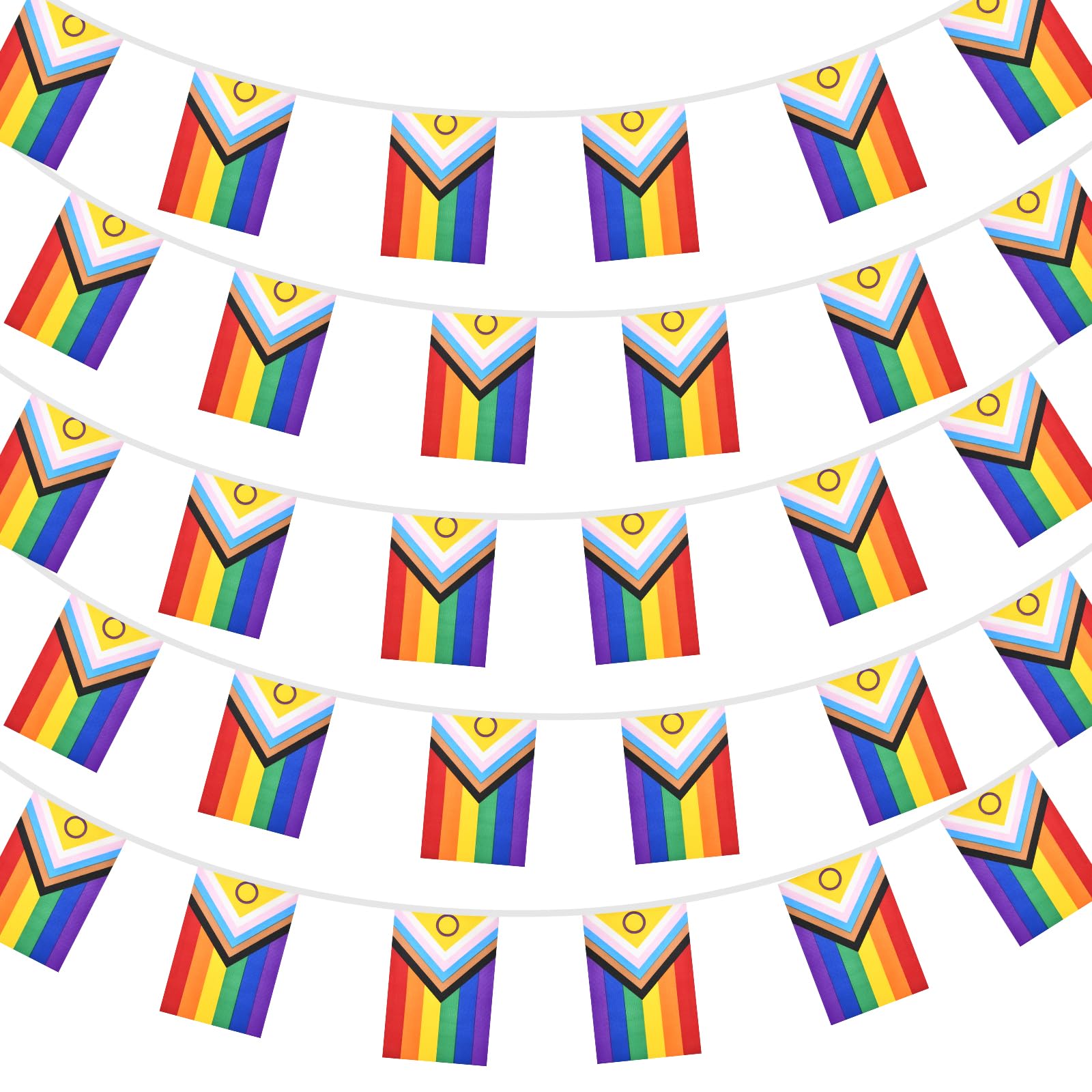 10 Meter Intersex Inclusive Progress Pride Bunting Banner with 38 ...