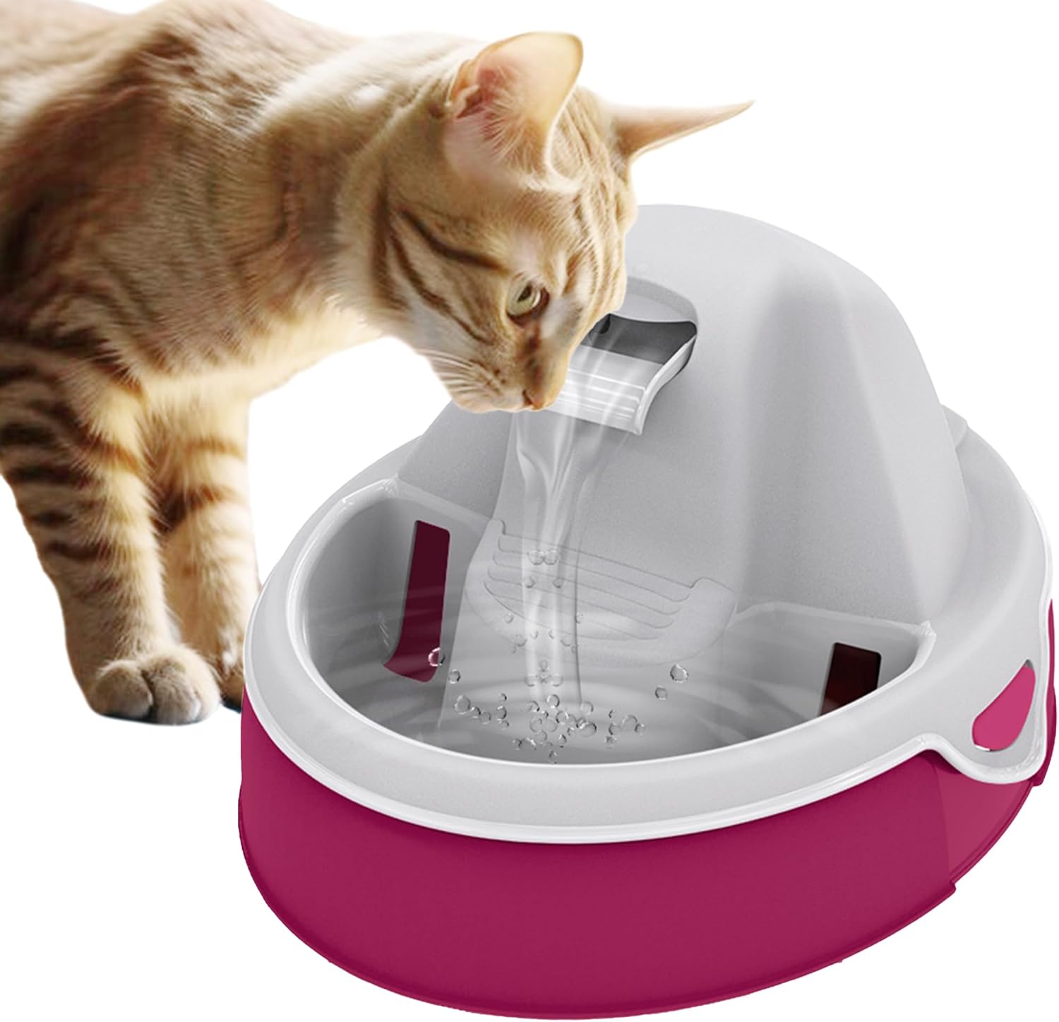 Amazon.com : Aqua Flow Premium Pet Water Fountain - Automatic Dispenser ...
