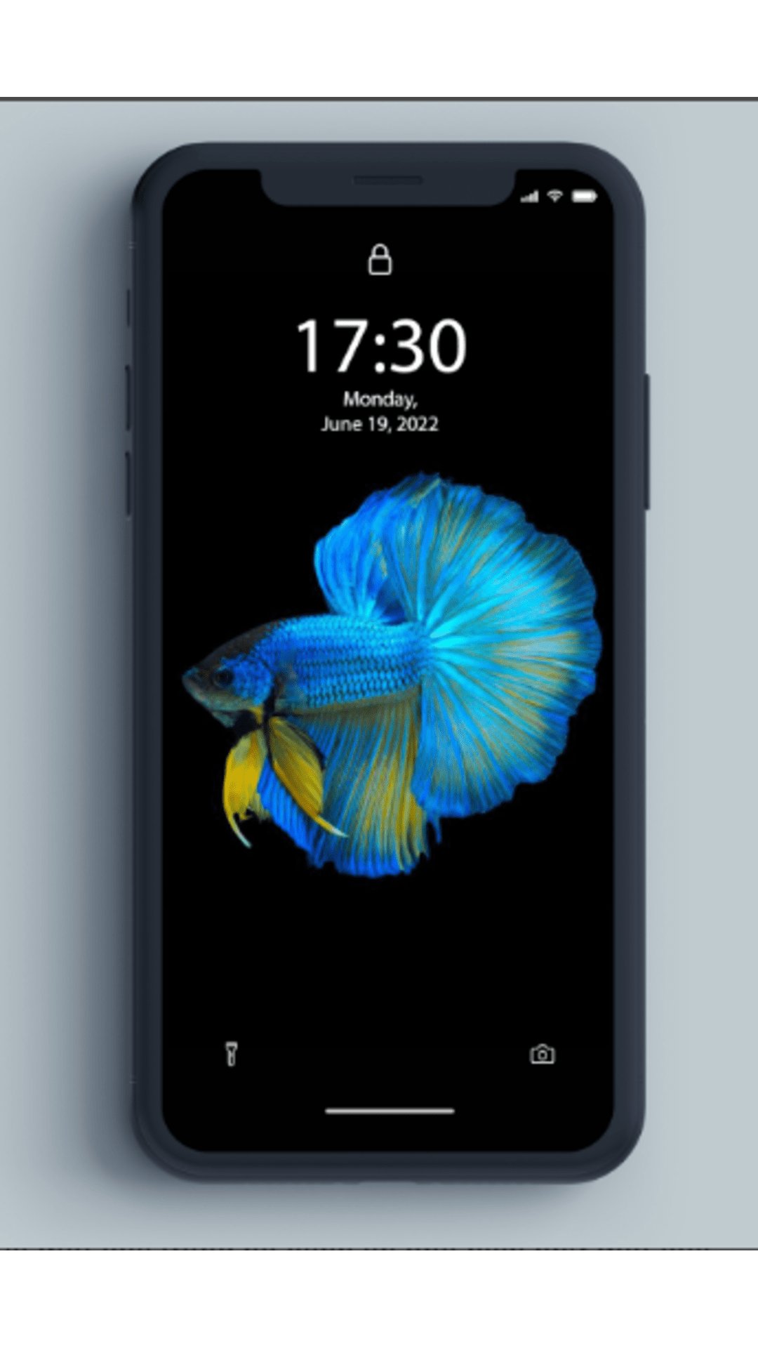 Betta Fish Wallpaper Hot 2025 - Aplicativo na Amazon Appstore