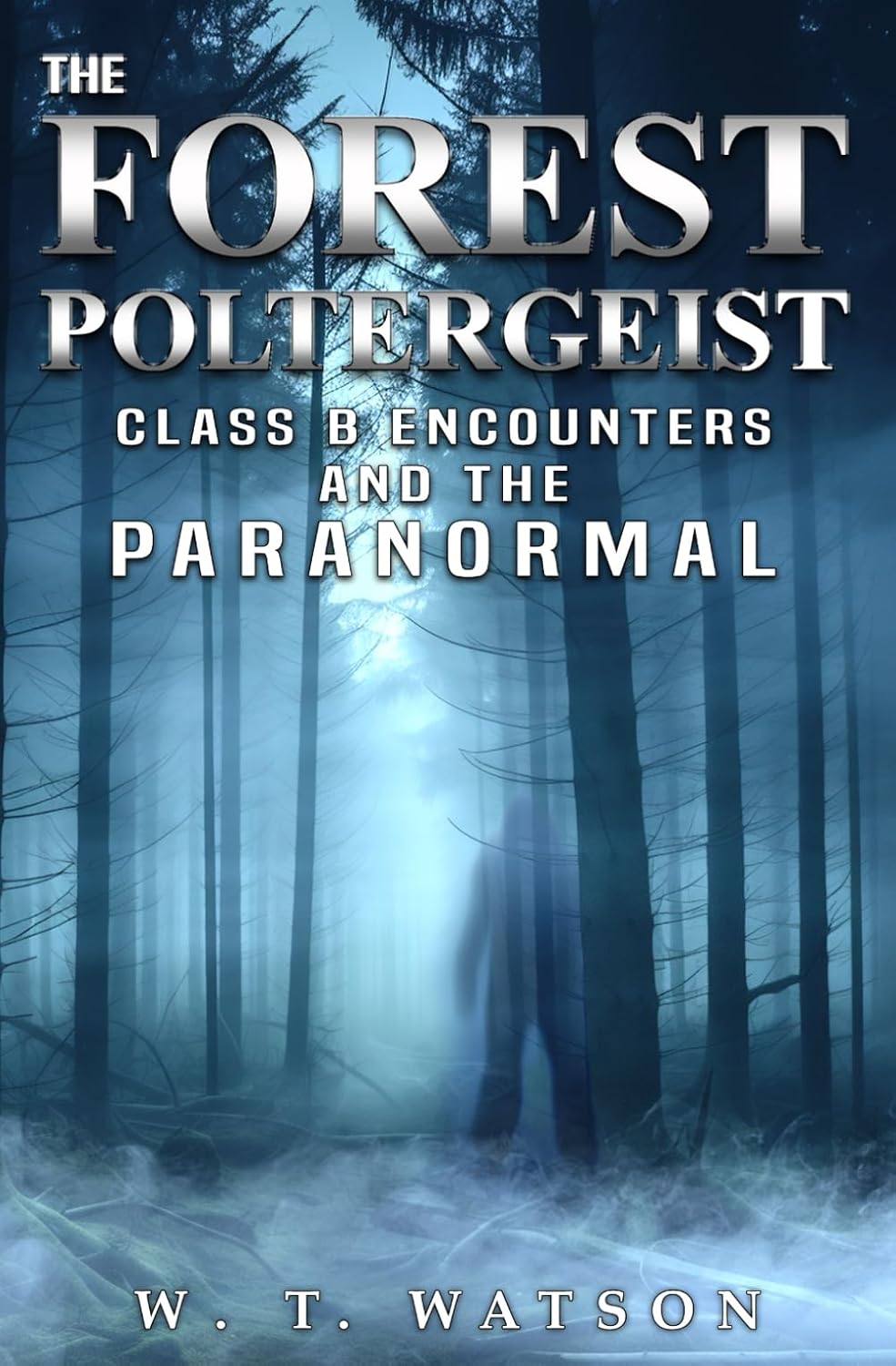 Amazon.com: The Forest Poltergeist: Class B Encounters and the ...