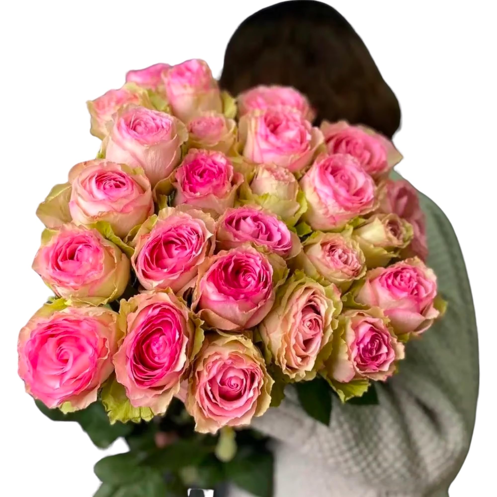 Amazon.com: 24 stem ESPERANCE Roses Fresh Cut Flower Wholesale of loose ...