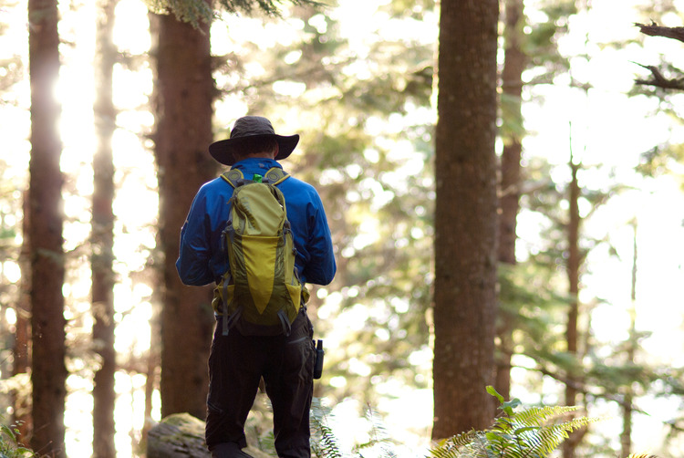 Amazon.com: Scott Marchant: books, biography, latest update