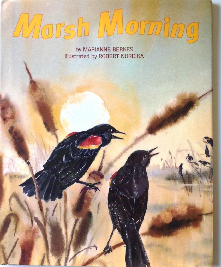 Amazon.com: Marsh Morning (Single Titles): 9780761319368: Berkes ...