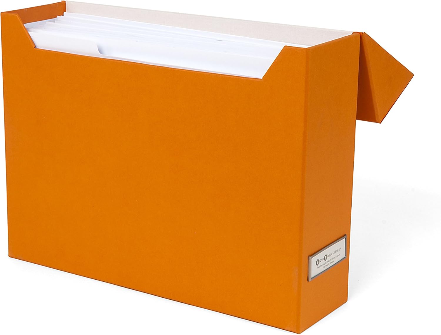 Amazon.com: Bigso Lovisa File Thin Label Frame Storage Box with 12 ...