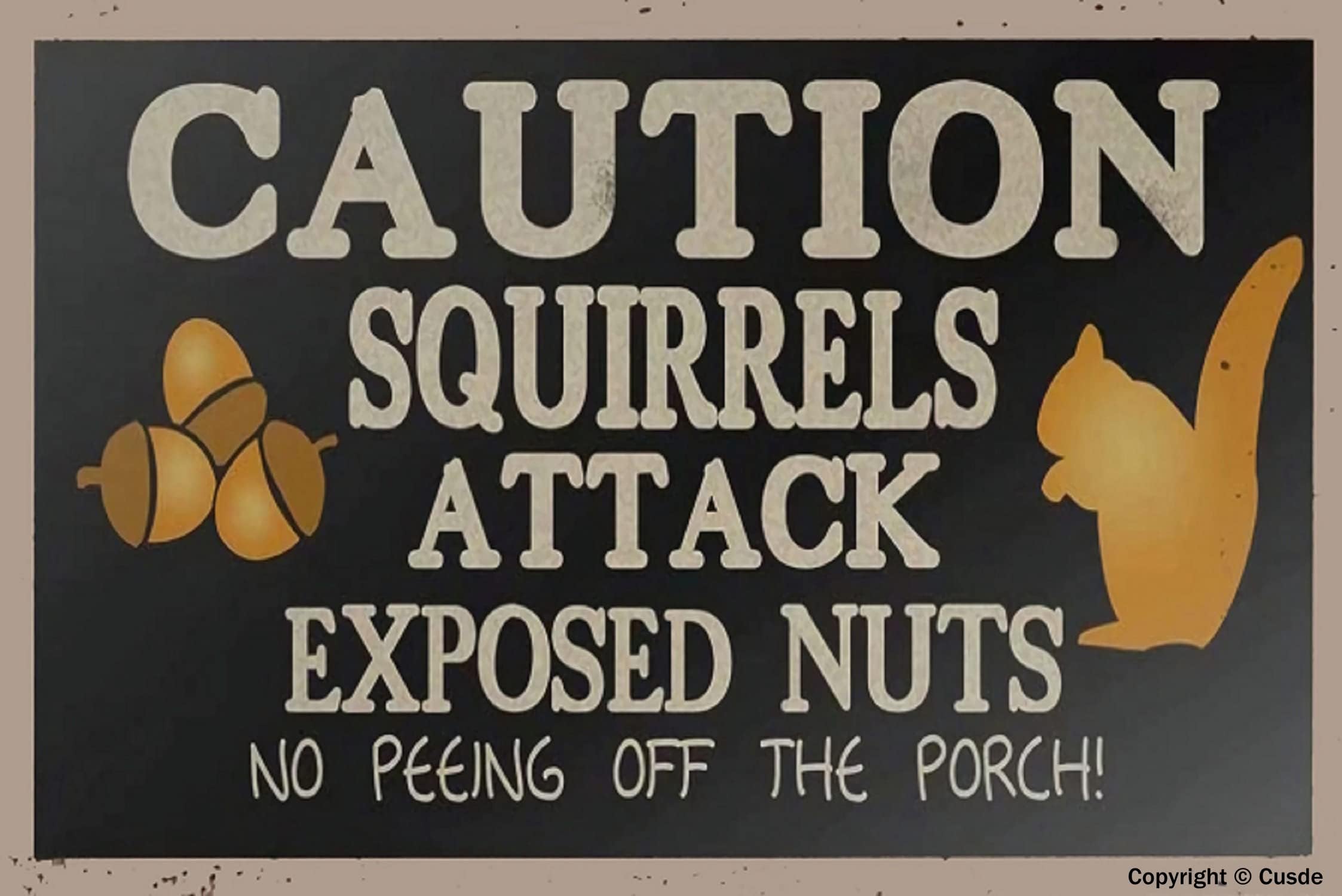 Amazon.com: 1080 Graphics Squirrel Crossing Sign New Xing Signs Animals ...