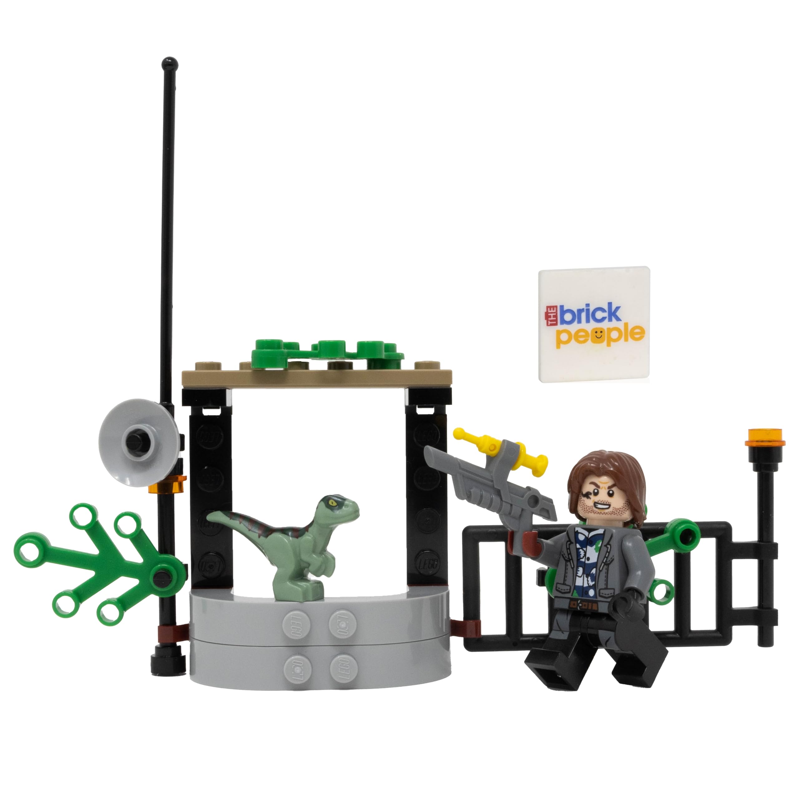 Amazon.com: LEGO Jurassic World: Rainn Delacourt Minifigure with Raptor ...