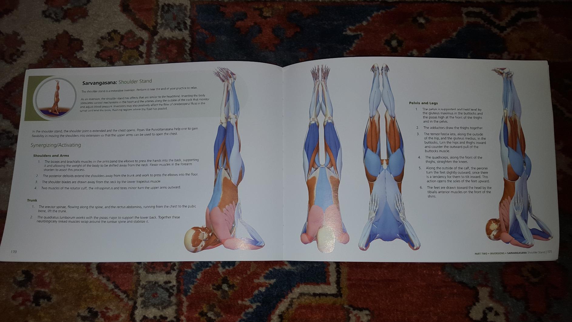 The Key Poses of Yoga: Scientific Keys, Volume II: Ray Long, Chris ...