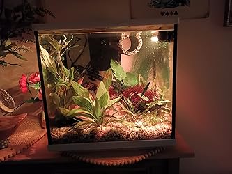Interpet Aqua Cube Glass Fish Tank Aquarium with Integrated LED ...