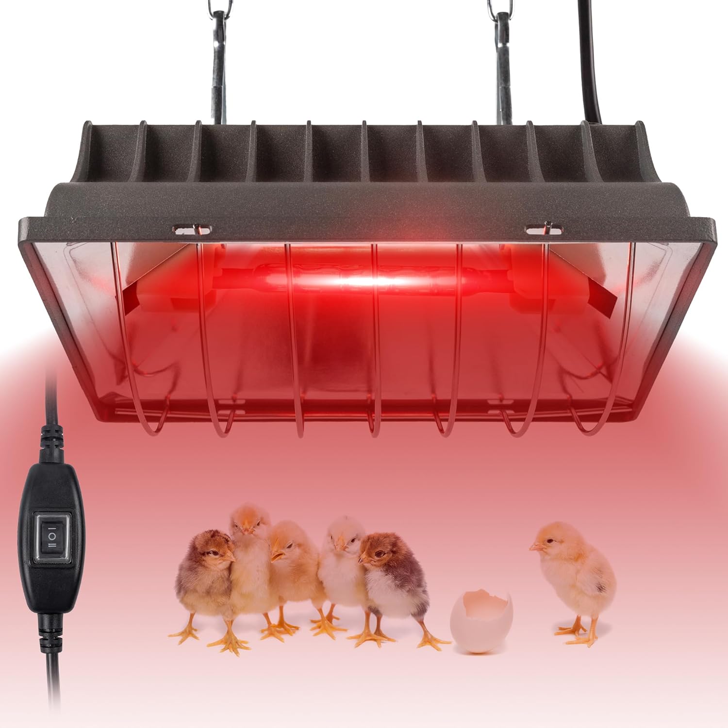 Amazon.com: 250W Coop Heater for Chicks, Coop Heat Lamp for Chicken ...